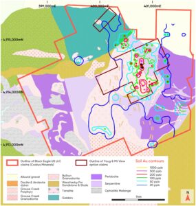 Bull Run Gold Project – Codrus Minerals Limited